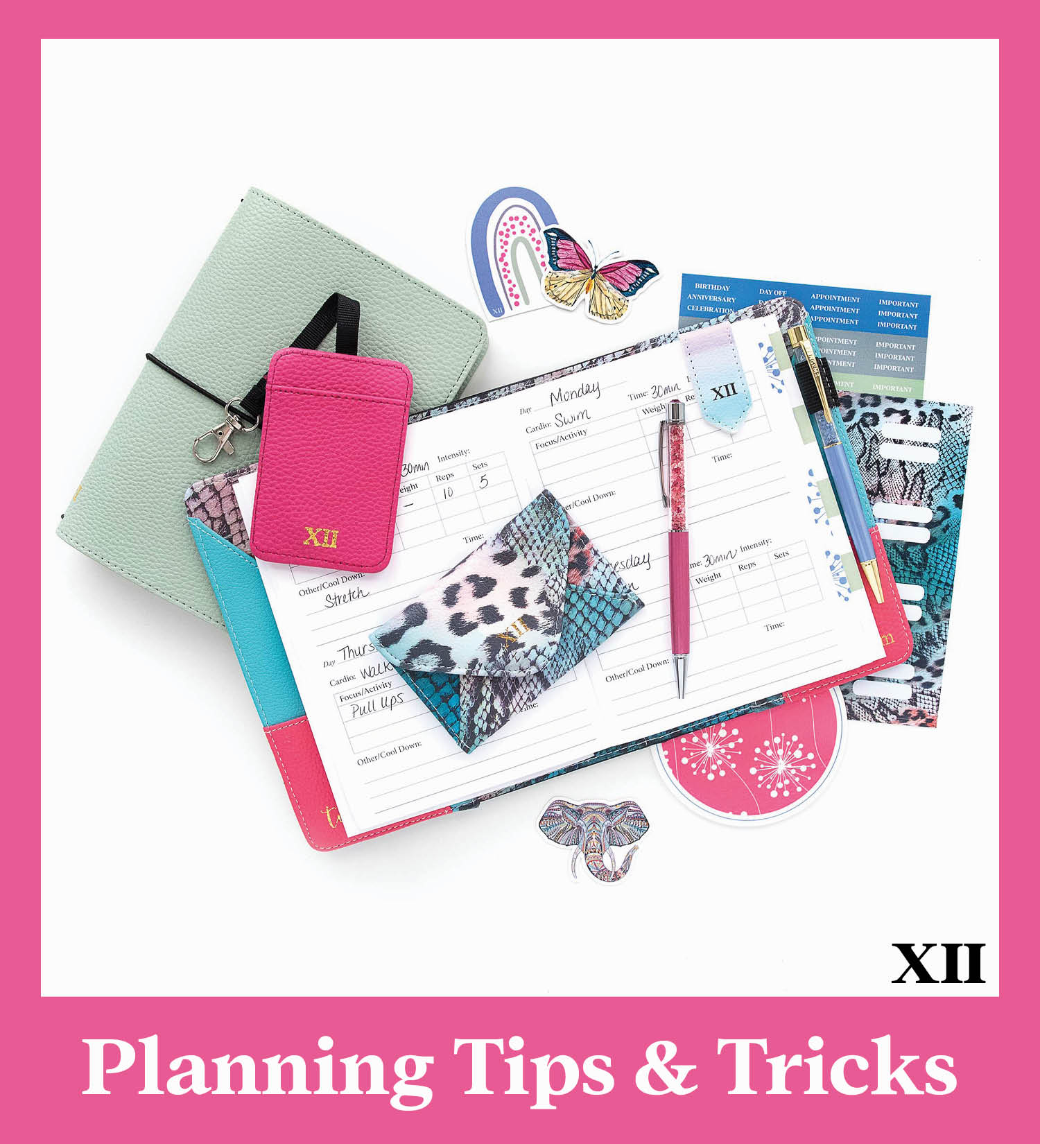 Tula Xii | balancing lifestyles one stylish organizer at a time